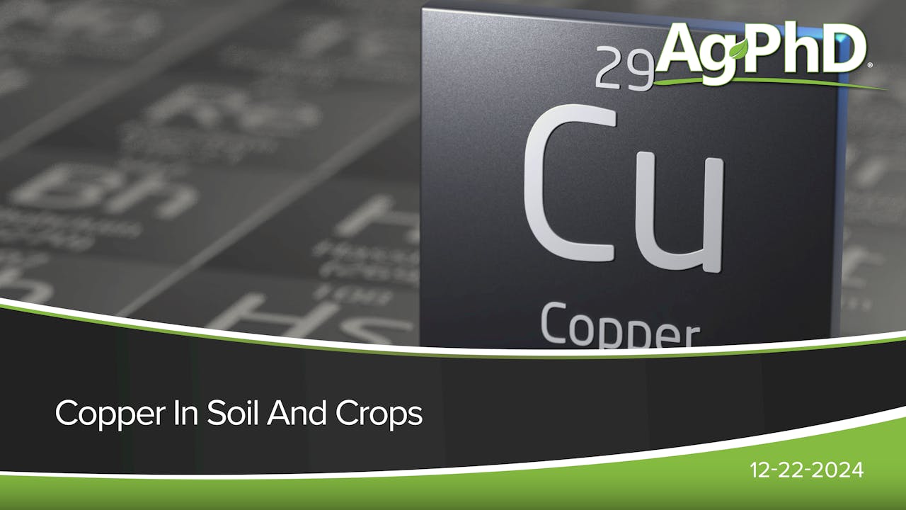Copper In Soil And Crops | Ag PhD - 2024 - AcresTV