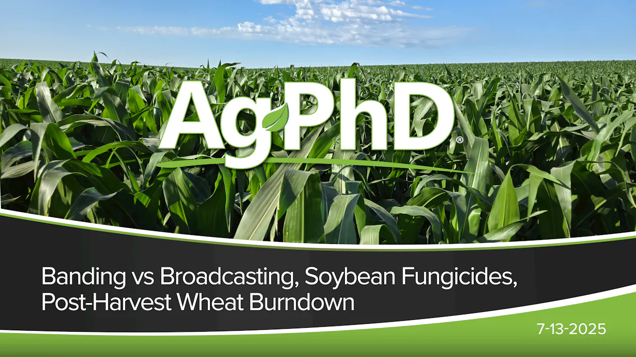 Banding vs Broadcasting, Soybean Fungicide, Post-Harvest Wheat Burndown ...