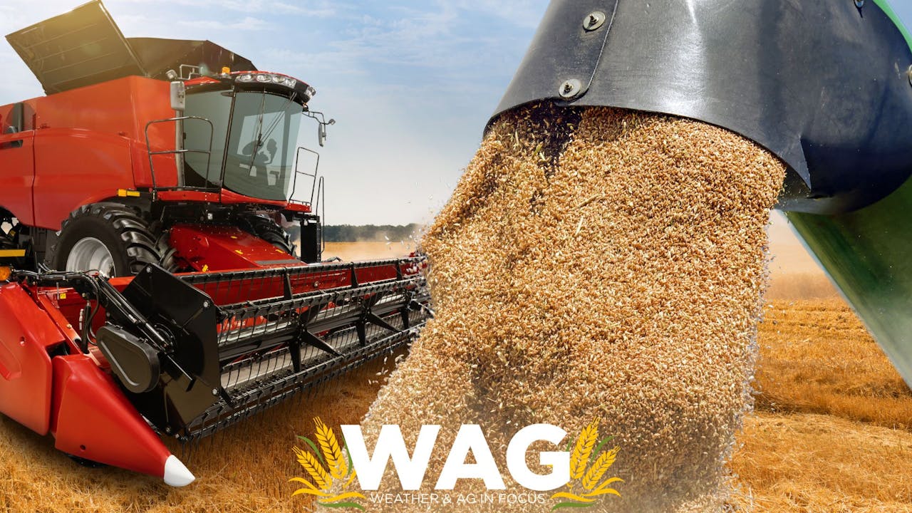 Where Does Grain Go After It Leaves the Farm? WAG In Focus 4-4-23 - AcresTV