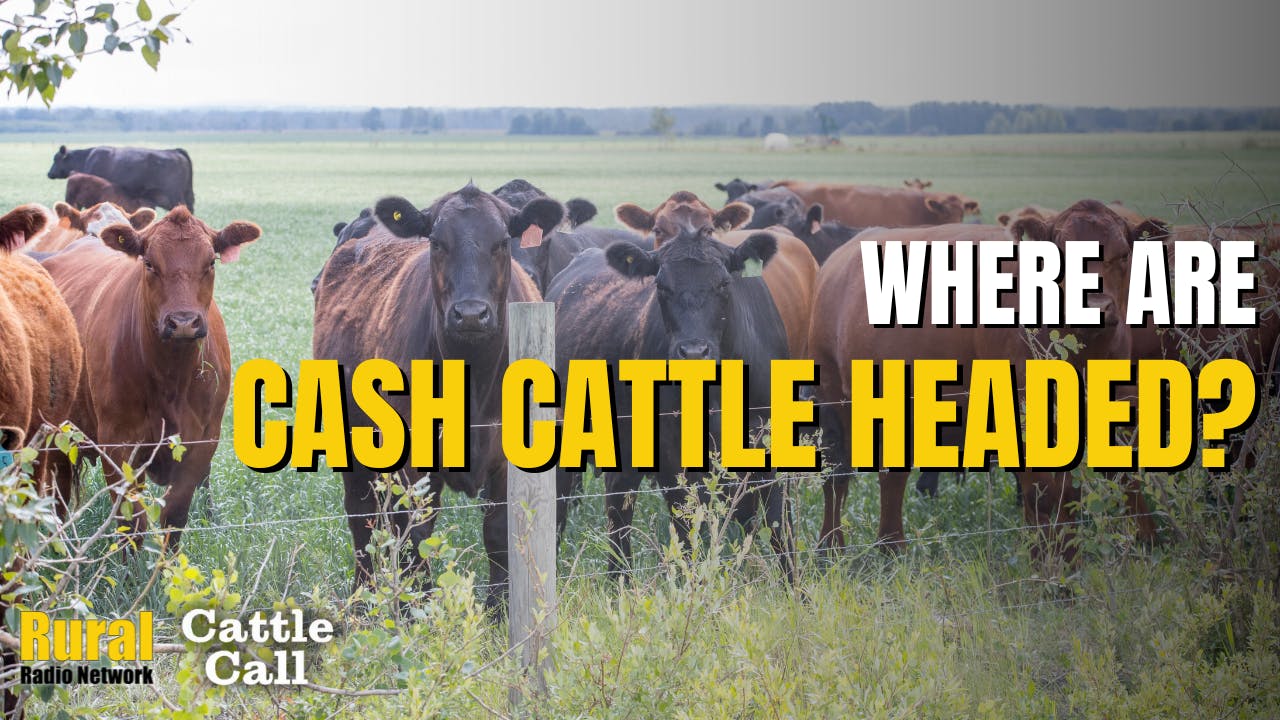Perception vs. Reality in the Trade | Cattle Call - Cattle Call - AcresTV