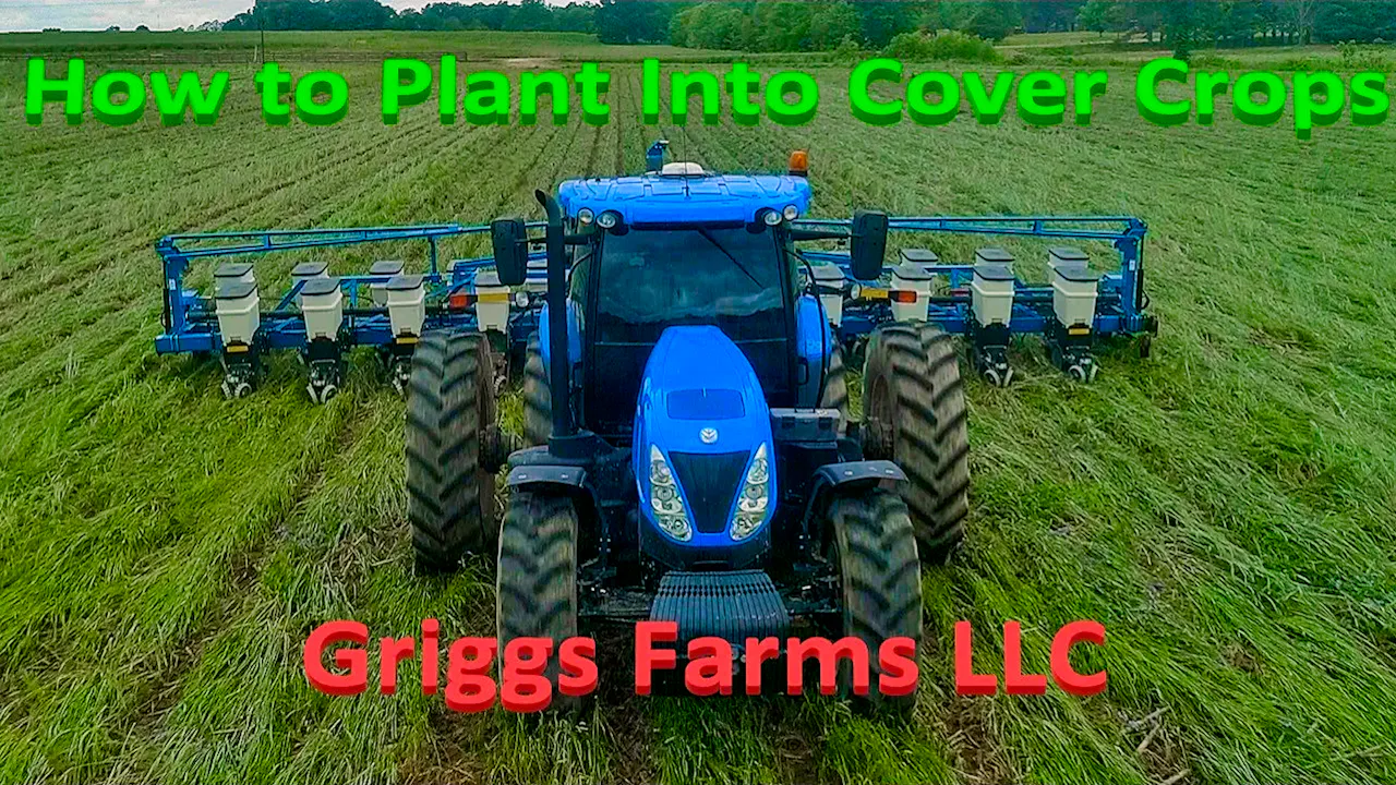 How to Plant into High Biomass Cover Crops | Griggs Farms - Agronomy ...