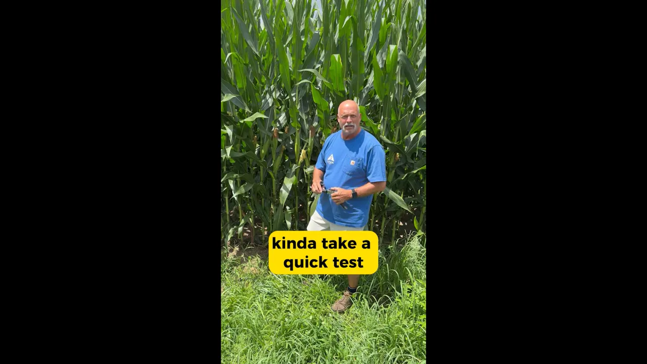 CHECKING YOUR PLANT HEALTH: Brix Levels | TEVA - Fertility - AcresTV