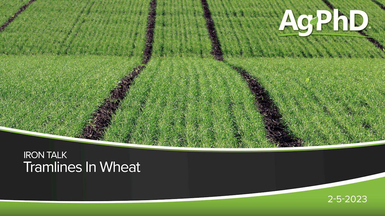 Tramlines In Wheat | Ag PhD - 2023 - AcresTV