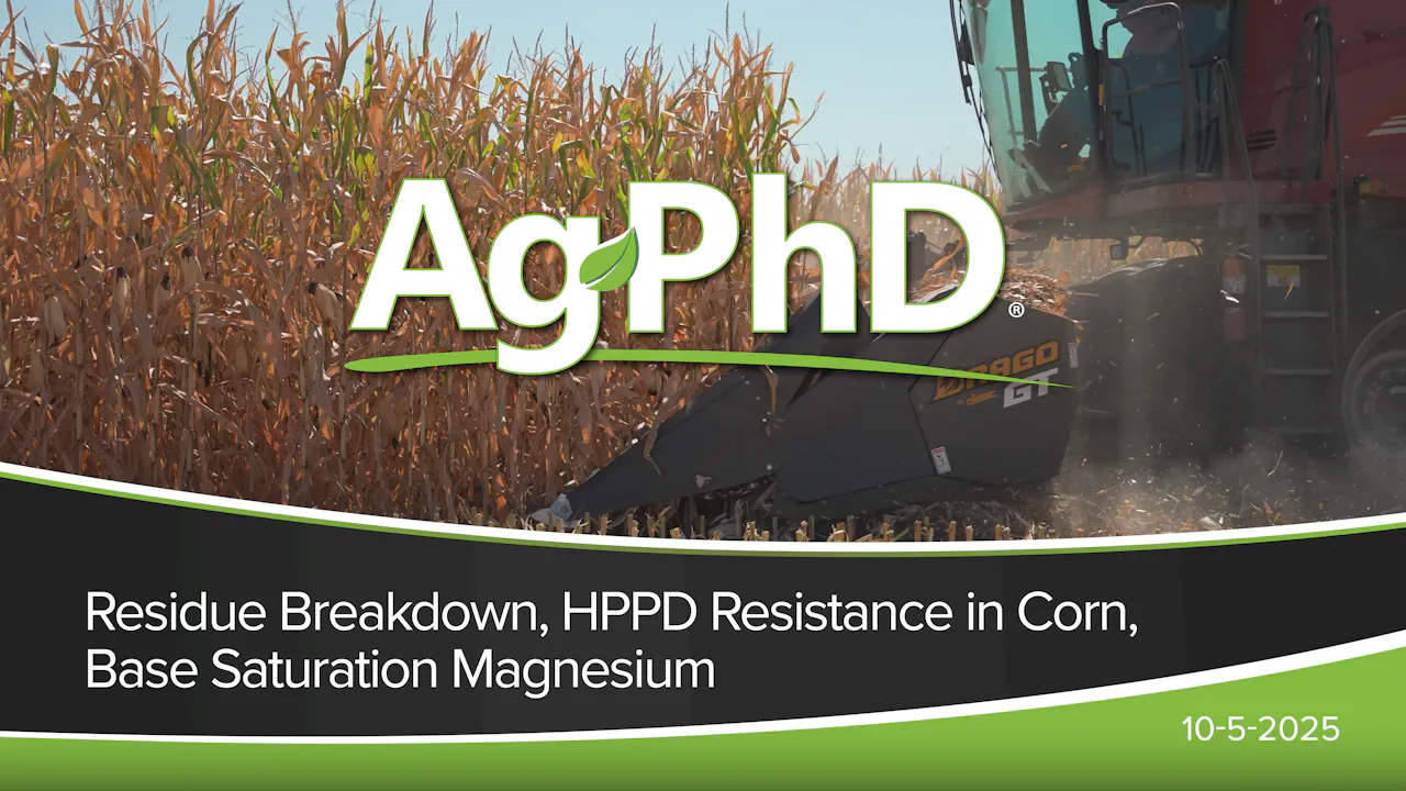 Residue Breakdown, HPPD Resistance in Corn, Base Saturation Mg | Ag PhD ...