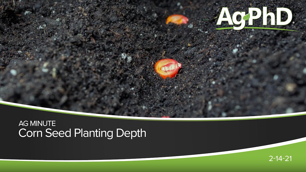 Corn Seed Planting Depth | Ag PhD - 2021 - AcresTV