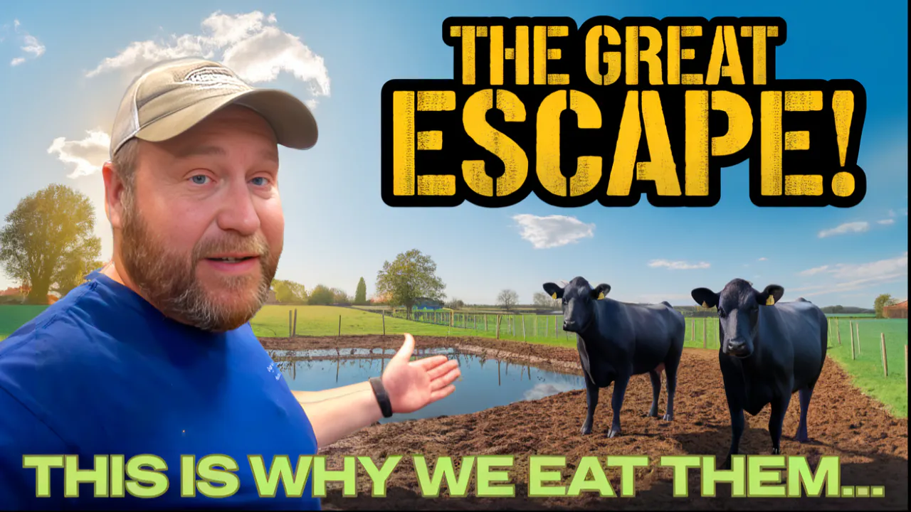 The Great Escape! | Griggs Farms - 2025 - AcresTV