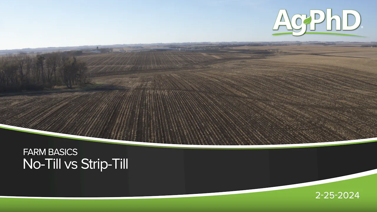 No-Till vs Strip-Till | Ag PhD - 2024 - AcresTV