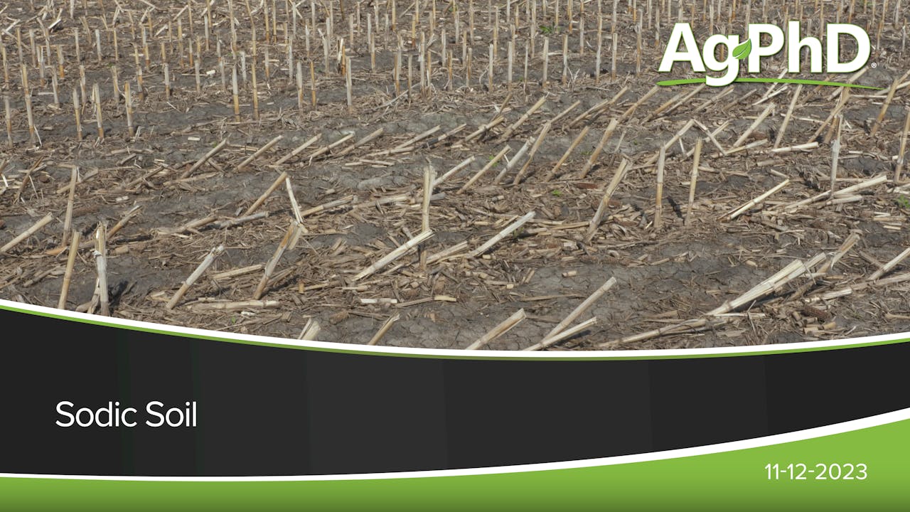 Sodic Soil | Ag PhD - 2023 - AcresTV