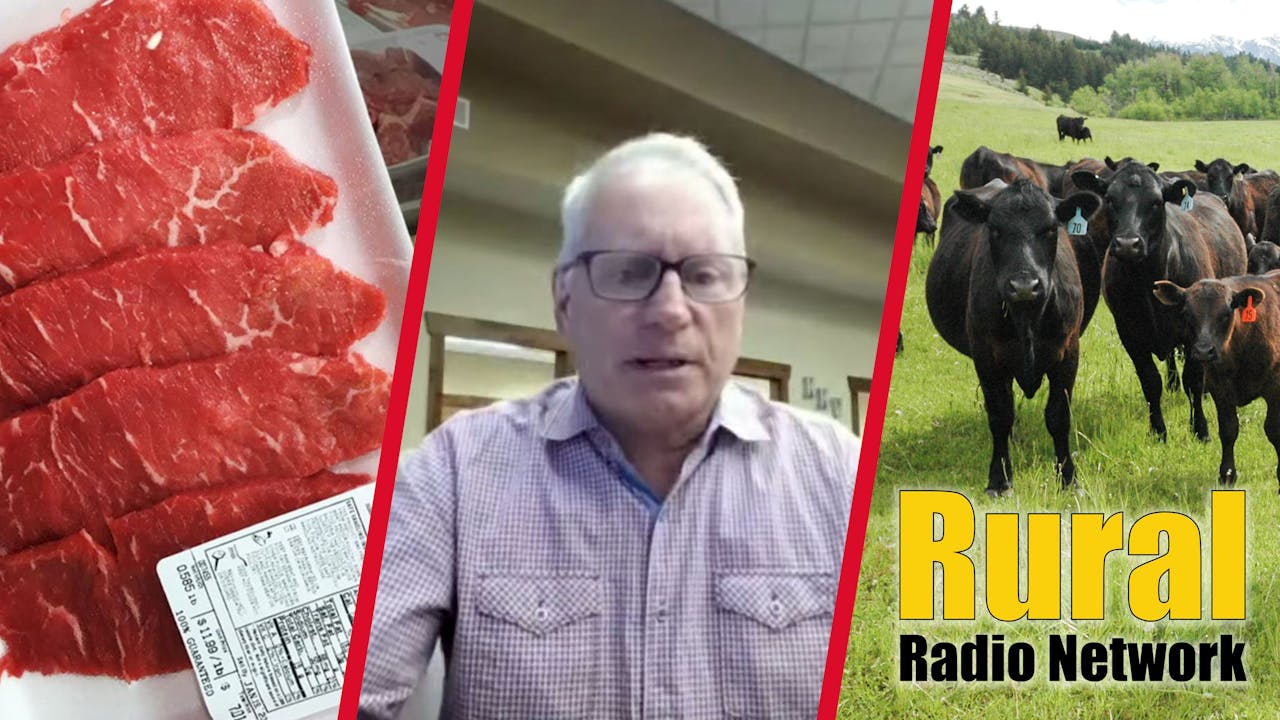 Cattle on Feed Report Haunts Cattle Complex | Cattle Call - Cattle Call - AcresTV