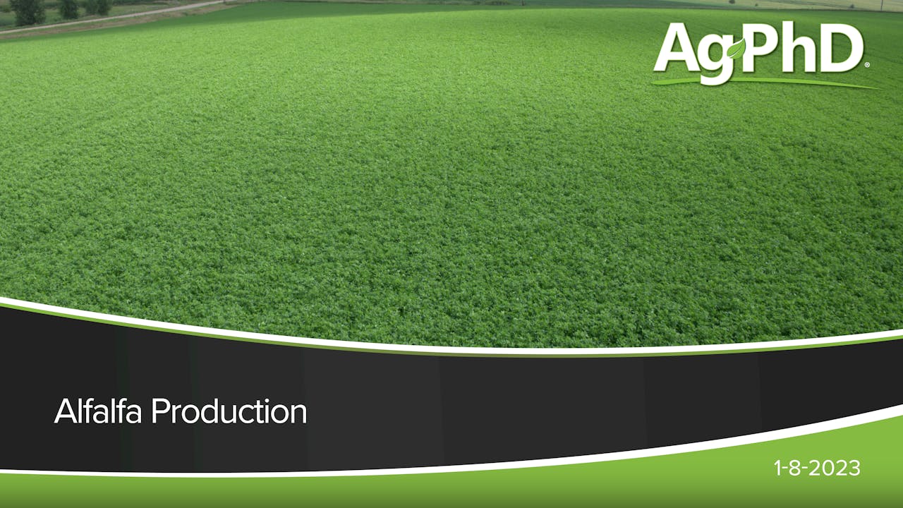 Alfalfa Production | Ag PhD - 2023 - AcresTV