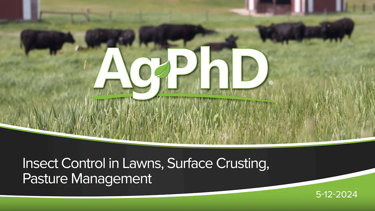 Insect Control in Lawns, Surface Crusting, Pasture Management | Ag PhD ...