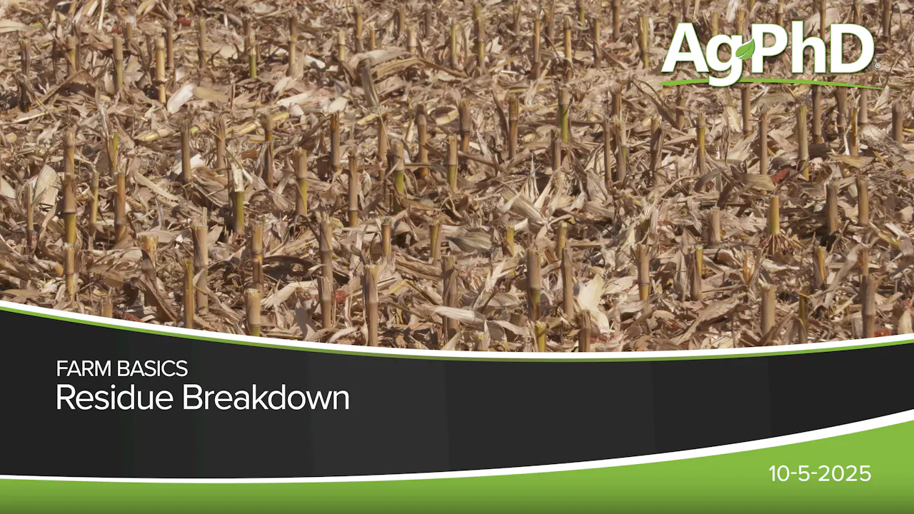 Residue Breakdown | Ag PhD - 2025 - AcresTV