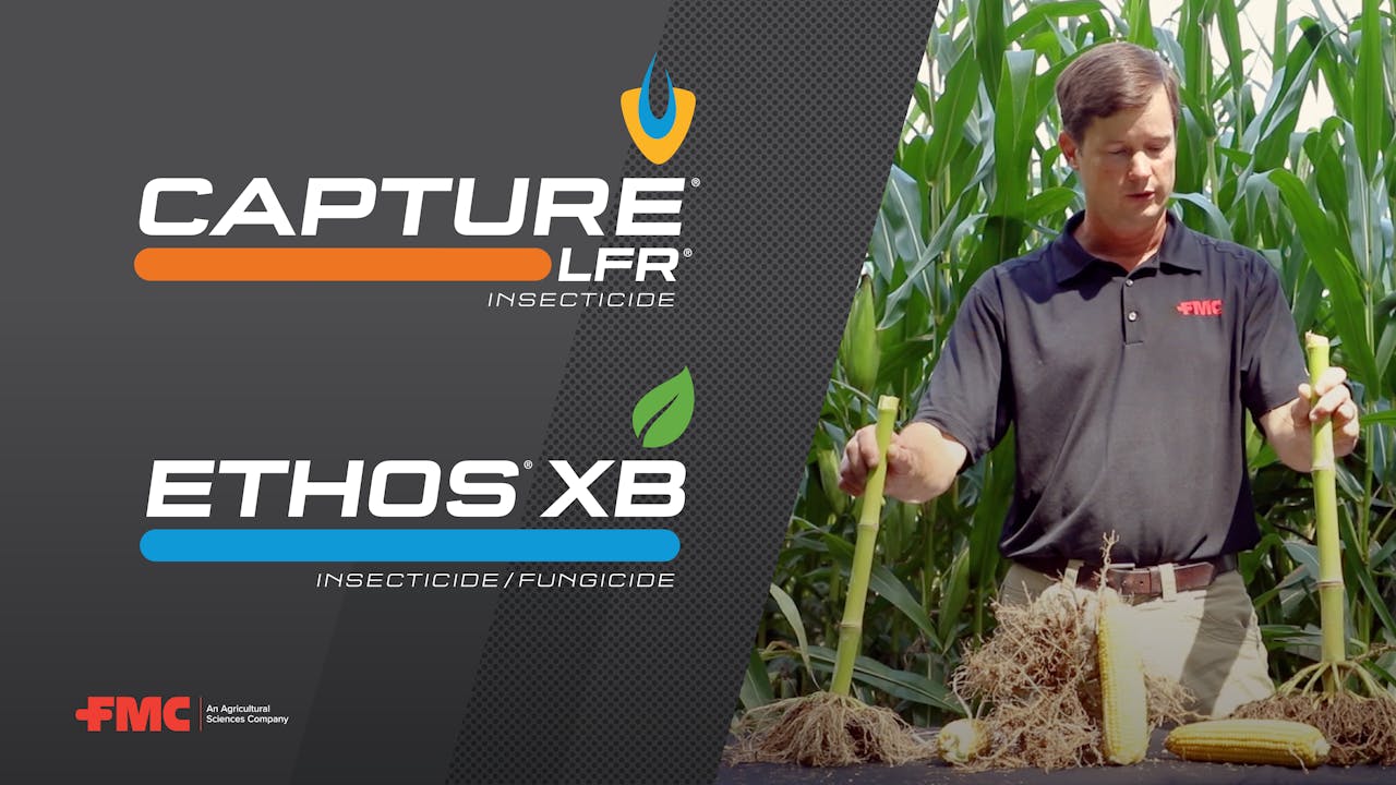 Help Improve Corn Stand Counts & Root Health With Sound In-Furrow ...