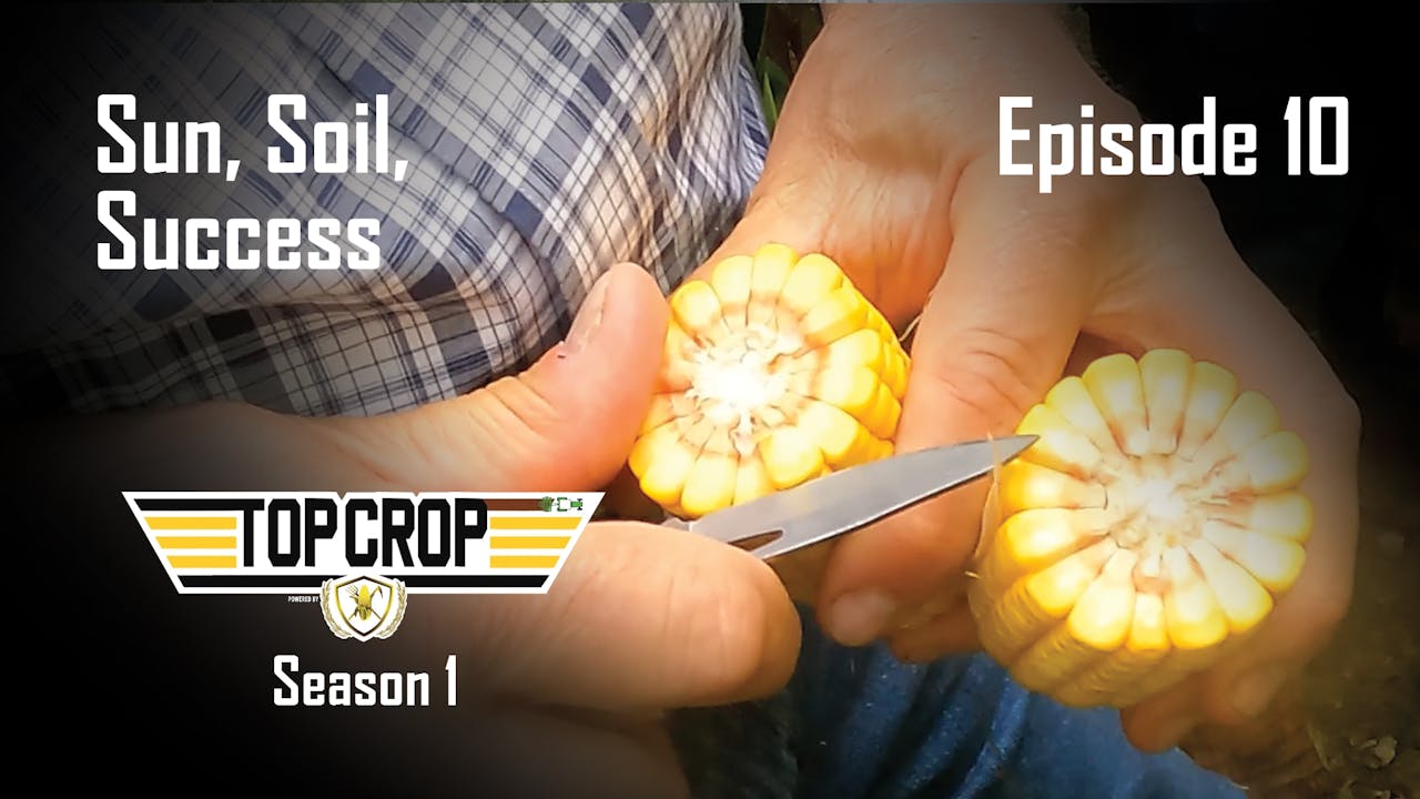 Sun, Soil, Success | Top Crop - AcresTV