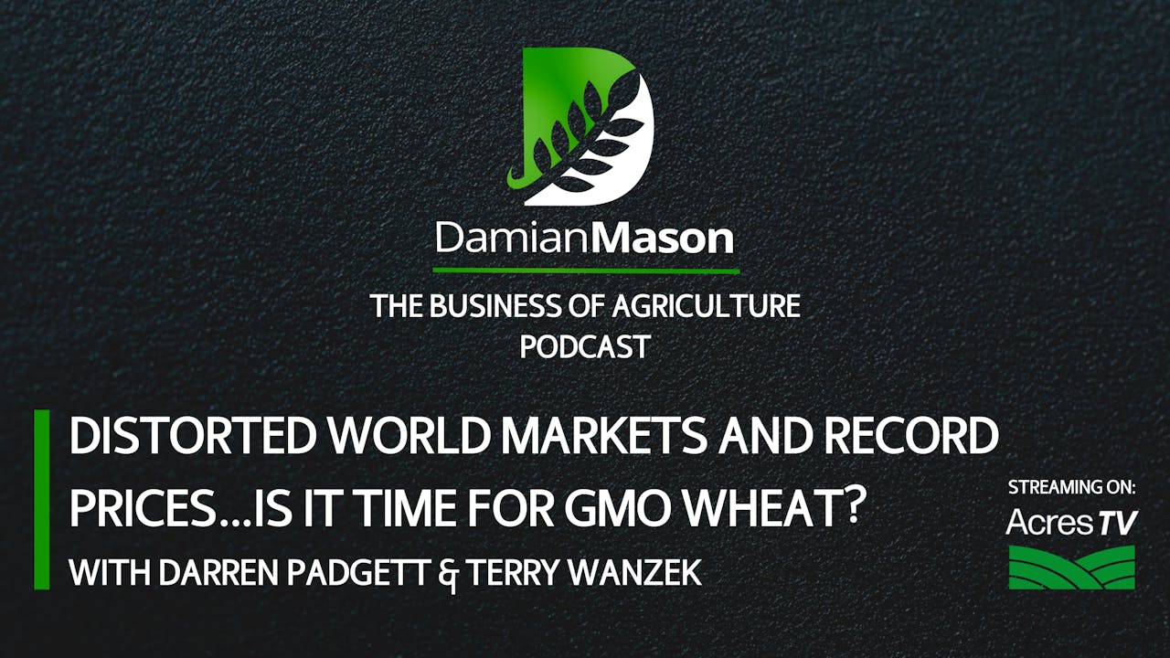 Distorted World Markets & Record Prices.Time for GMO Wheat? | Damian ...