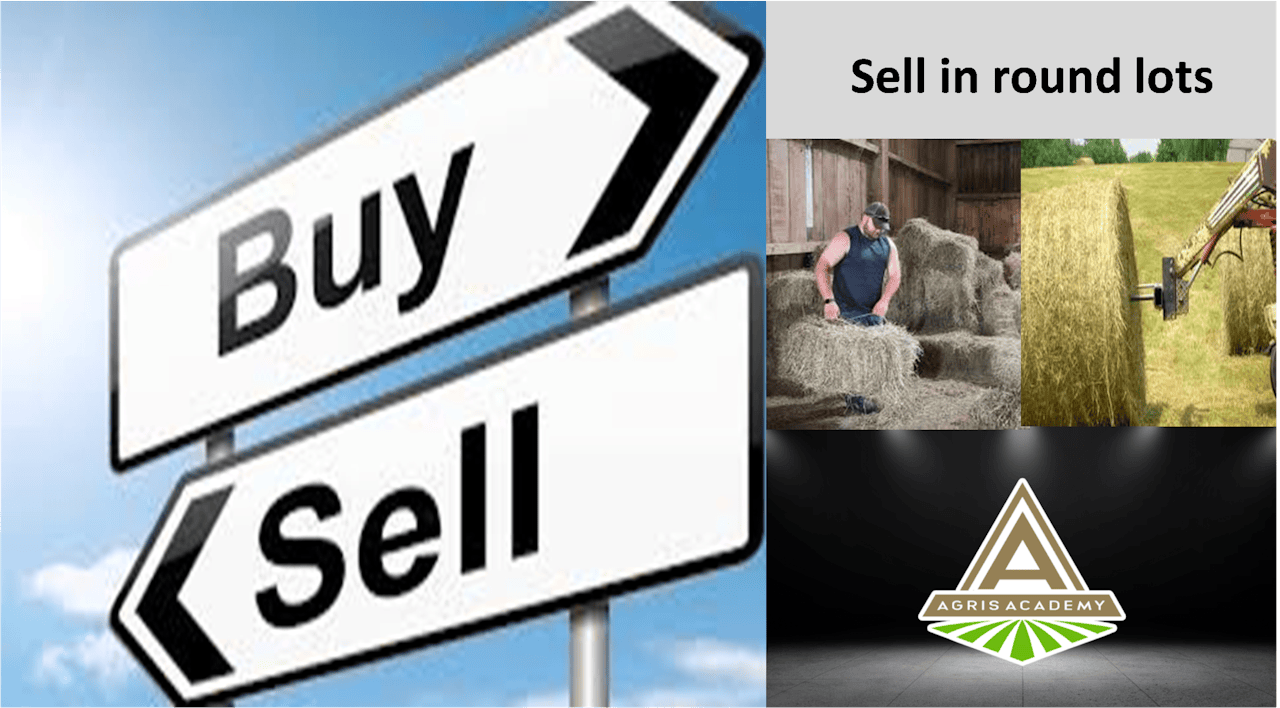 Nugget - Sell in Round Lots | AgrisAcademy - AcresTV