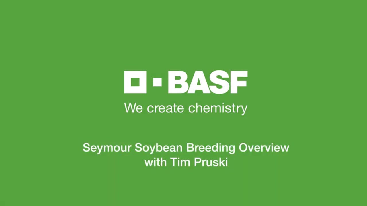 The Process Behind Soybean Breeding | BASF - AcresTV