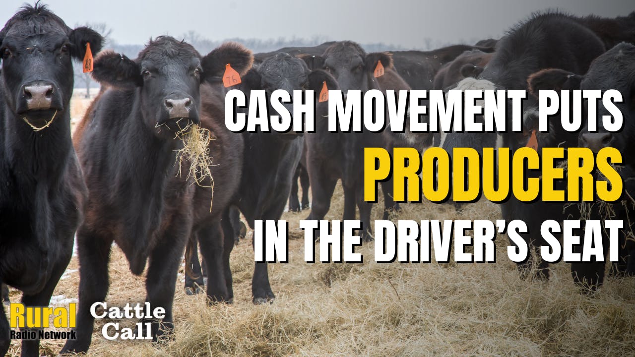Cash Movement Puts Producers in the Driver's Seat | Cattle Call - Cattle Call - AcresTV