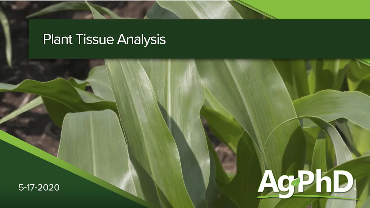 Plant Tissue Analysis | Ag PhD - 2020 - AcresTV