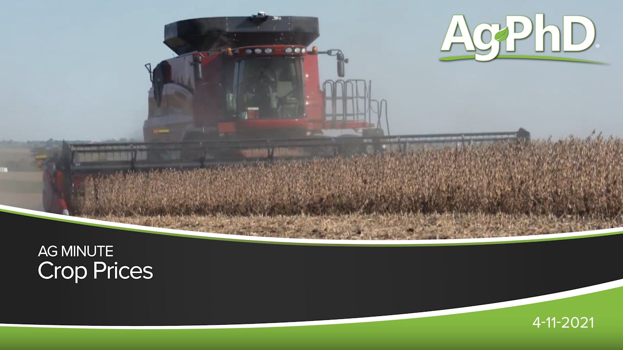 Crop Prices | Ag PhD - 2021 - AcresTV