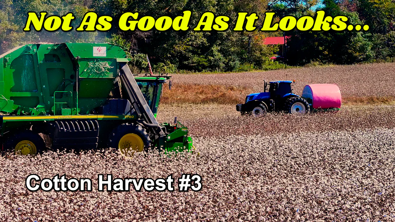 Worst Good Looking Cotton I've Ever Had... | Cotton Harvest | Griggs ...