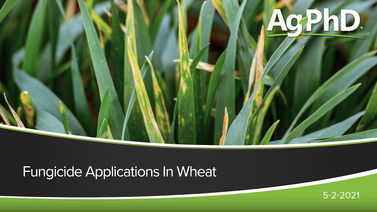 Fungicide Applications In Wheat | Ag PhD - 2021 - AcresTV