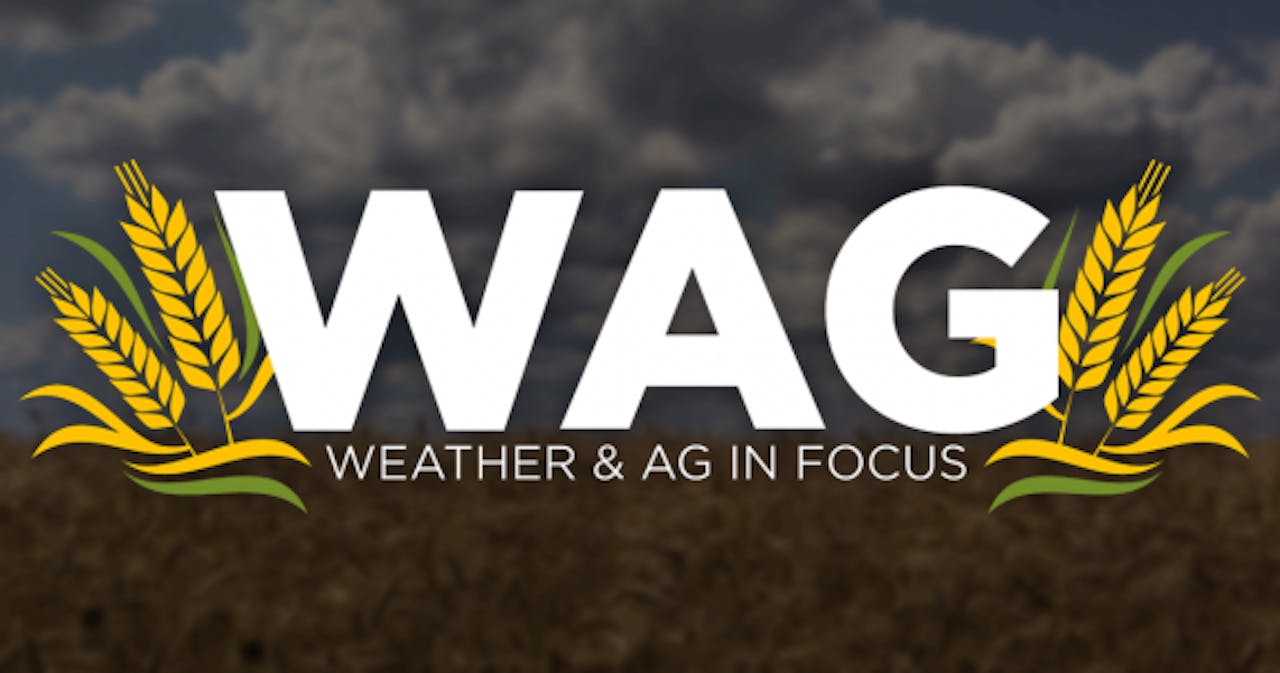 How Fast Can that Guy Talk!? WAG In Focus 6-21-23 - WDAY Weather & Ag ...