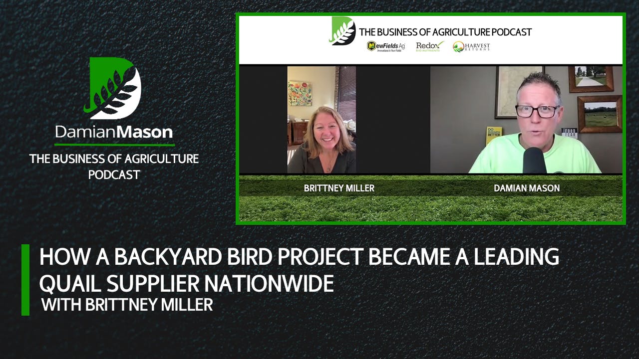 Backyard Bird Project to Leading U.S. Quail Supplier | Damian Mason ...