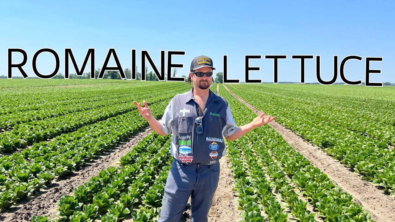 Florida Lettuce, Broccoli, Watermelons And More | Randy The Farmer ...
