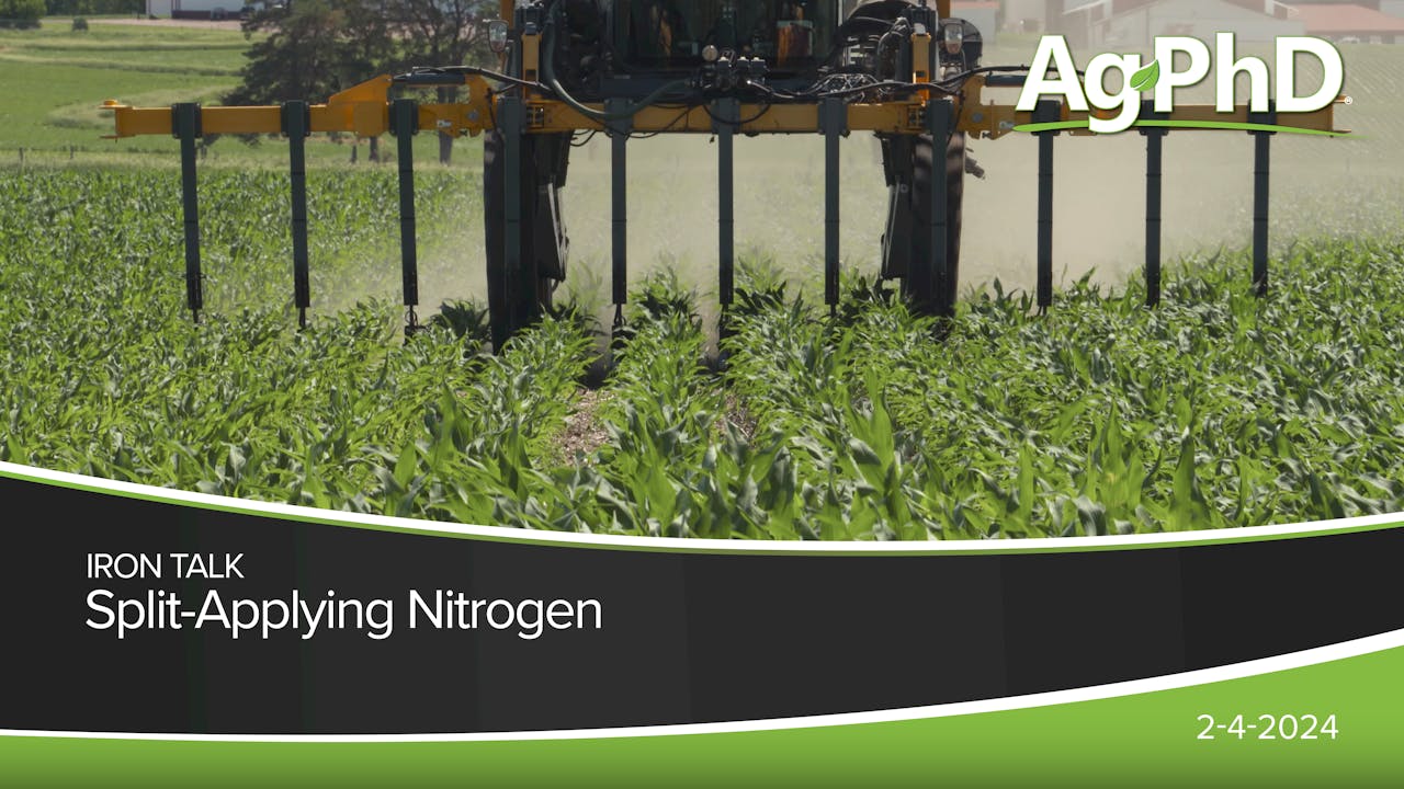 Split-Applying Nitrogen | Ag PhD - 2024 - AcresTV