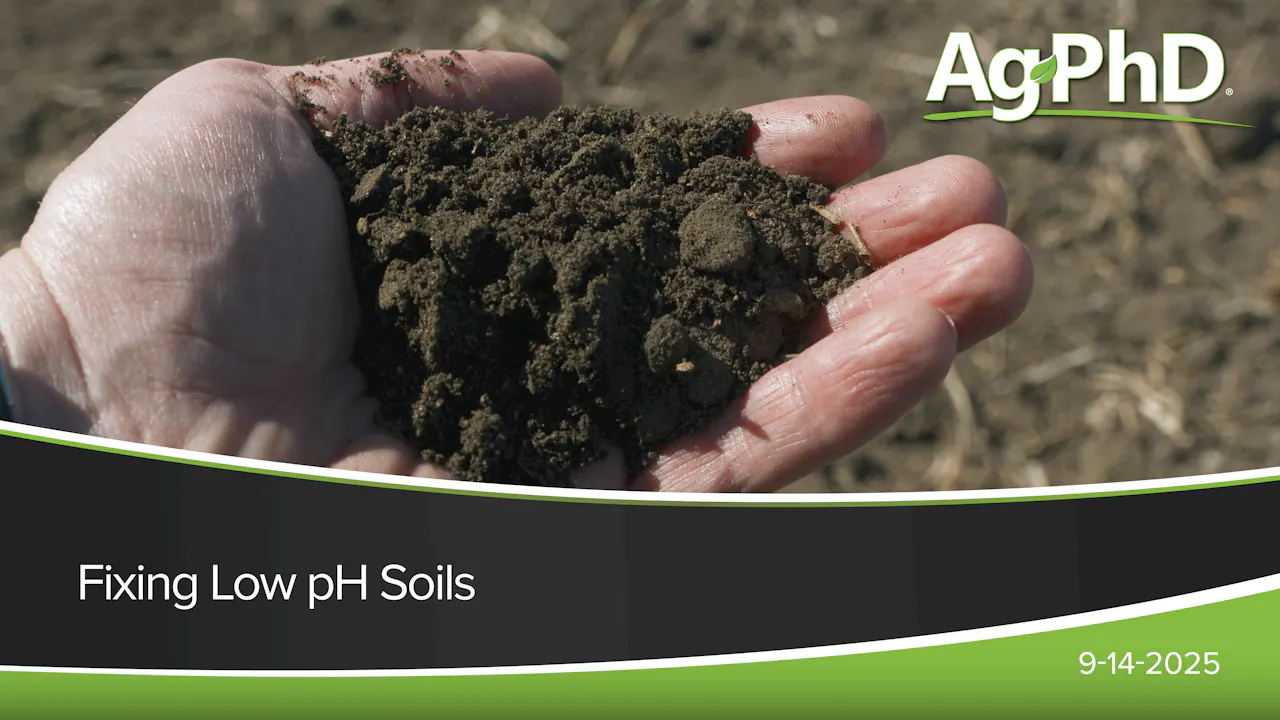 Fixing Low pH Soils | Ag PhD - 2025 - AcresTV