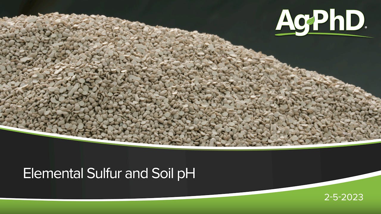 Elemental Sulfur and Soil pH | Ag PhD - 2023 - AcresTV