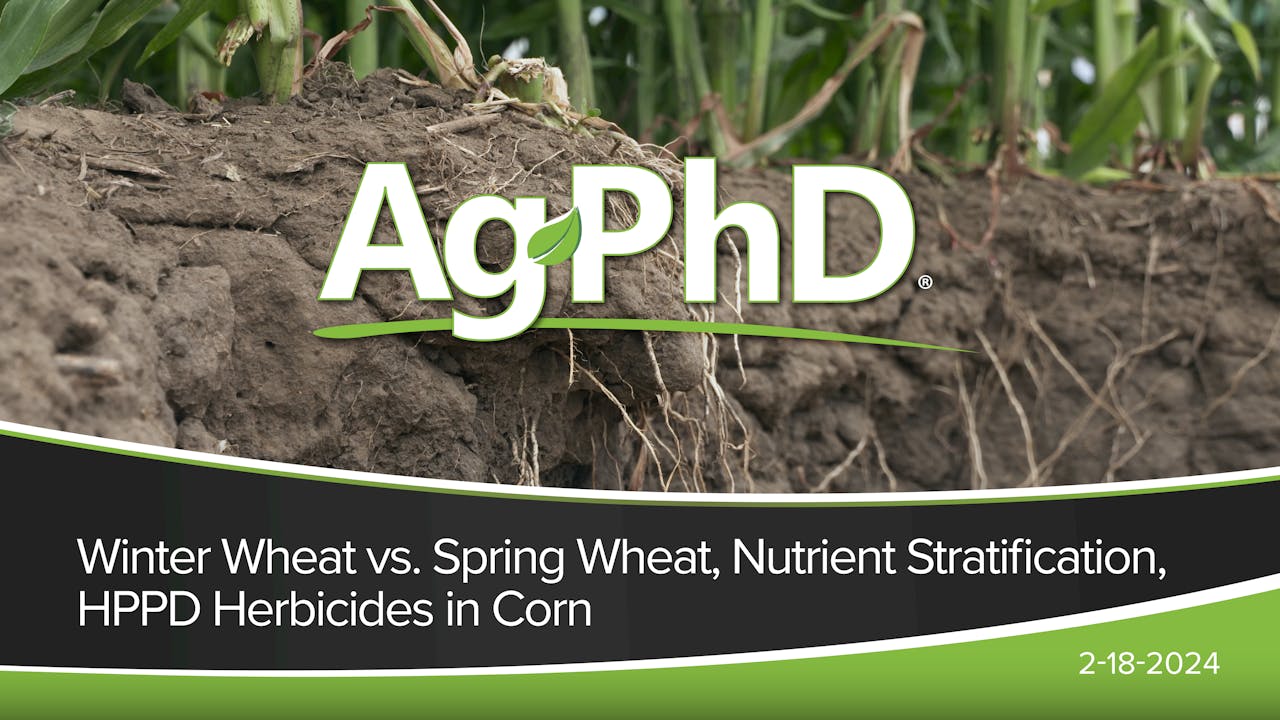Winter vs Spring Wheat, Nutrient Stratification, HPPD Herbicides in ...