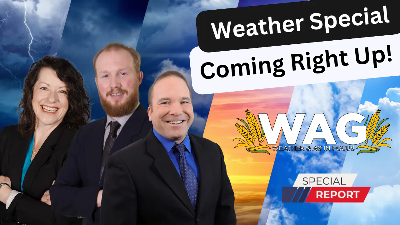 Weather Special Coming Right Up! | WAG in Focus 3/20/24 - AcresTV