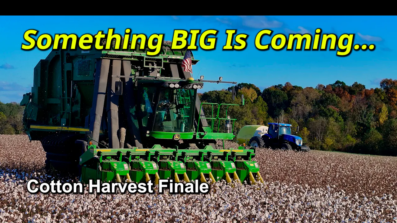 Something BIG Is Coming... | Cotton Harvest Finale | Griggs Farms ...