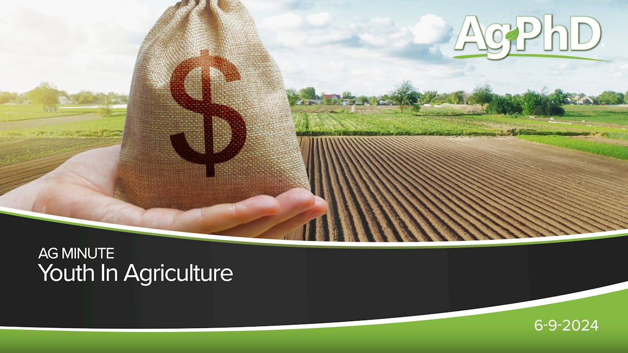 Youth in Agriculture | Ag PhD - 2024 - AcresTV
