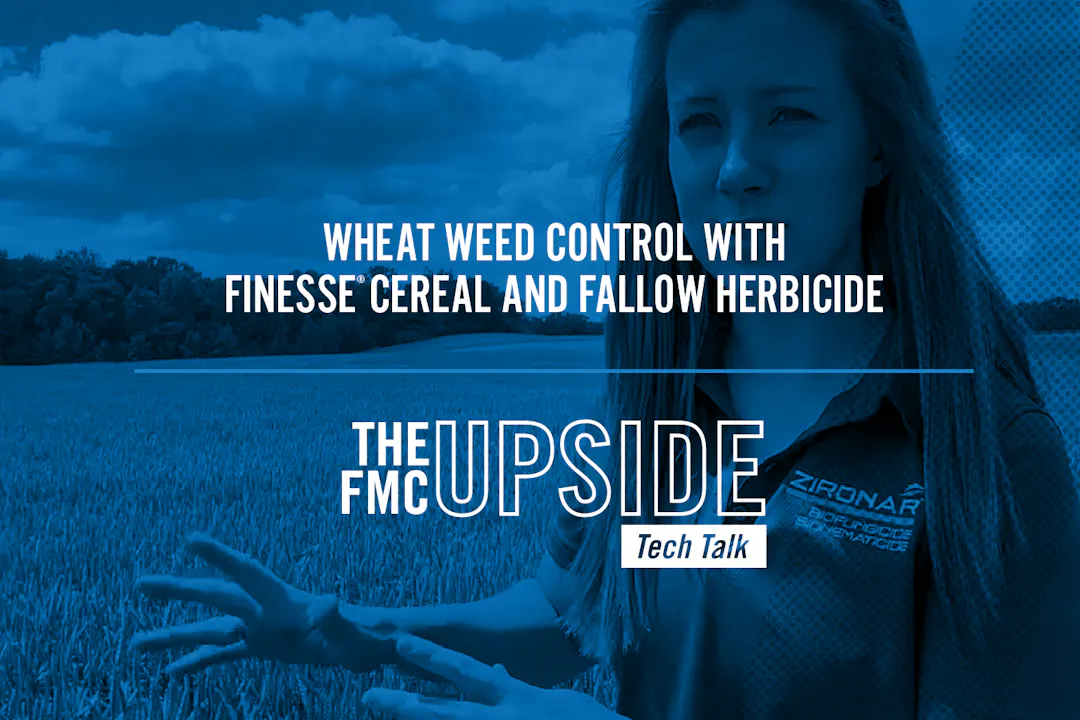 Wheat Weed Control With Finesse® Cereal and Fallow Herbicide | FMC ...