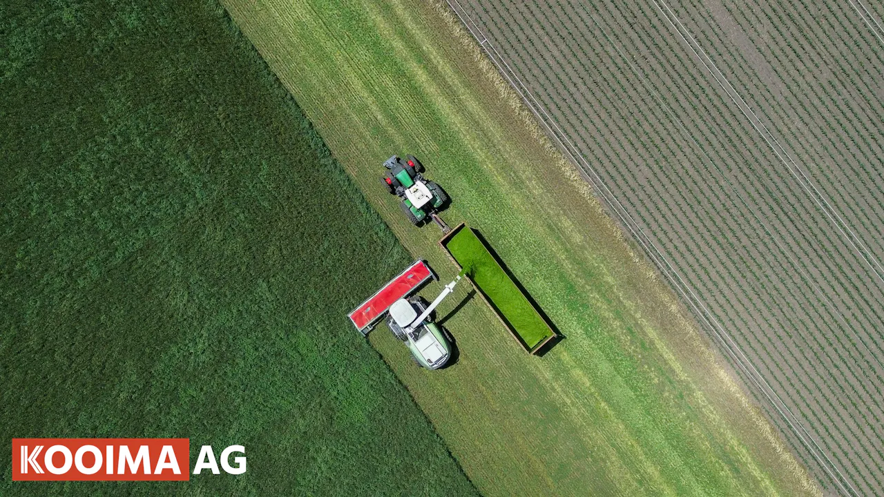 Domai Direct Cut Head in Action | Kooima Ag - Equipment & Tools - AcresTV