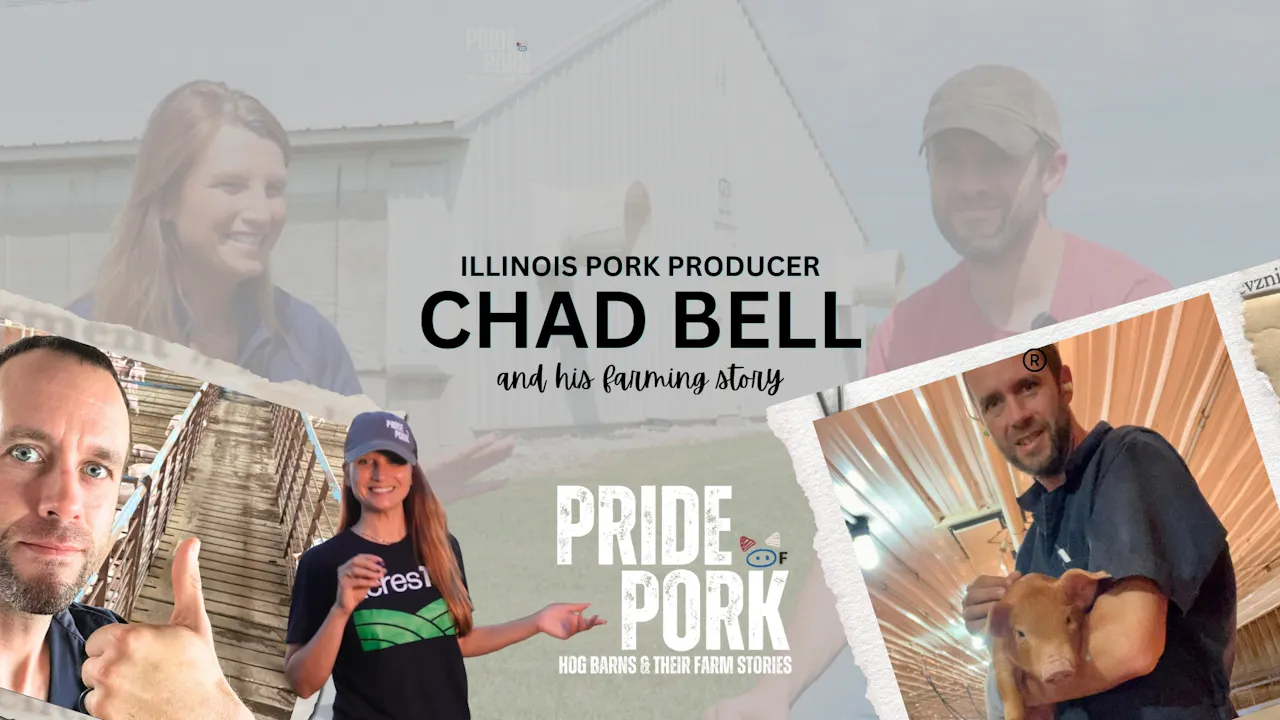 Baby Pigs Come Home to Chad Bell's Illinois Farm | Pride of Pork ...