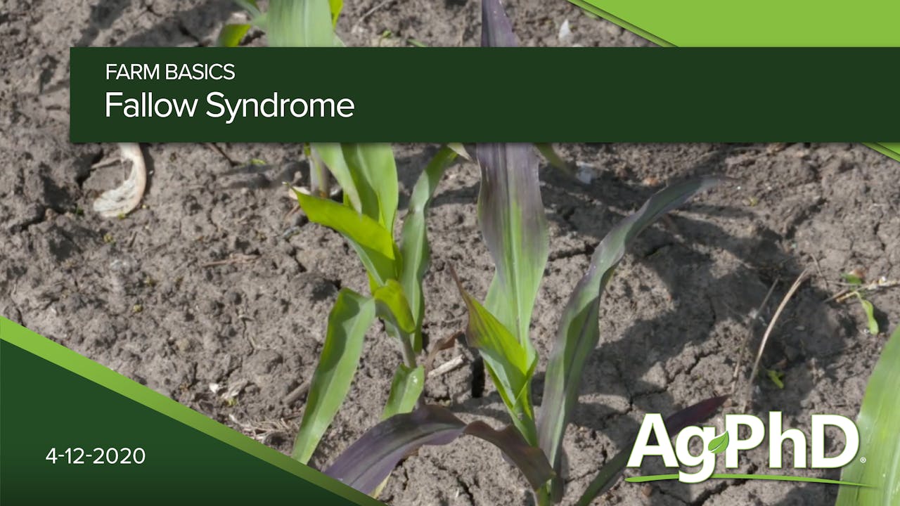 Fallow Syndrome | Ag PhD - 2020 - AcresTV