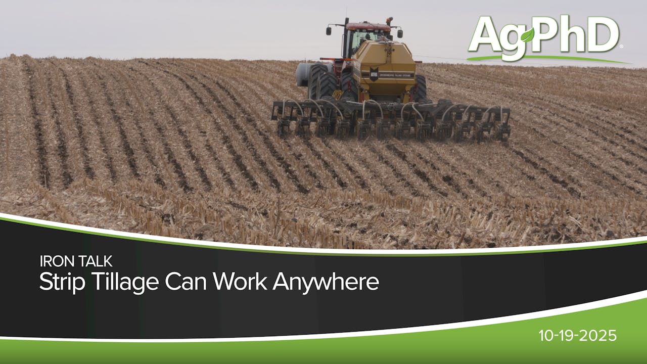 Strip Tillage Can Work Anywhere | Ag PhD - Equipment & Tools - AcresTV