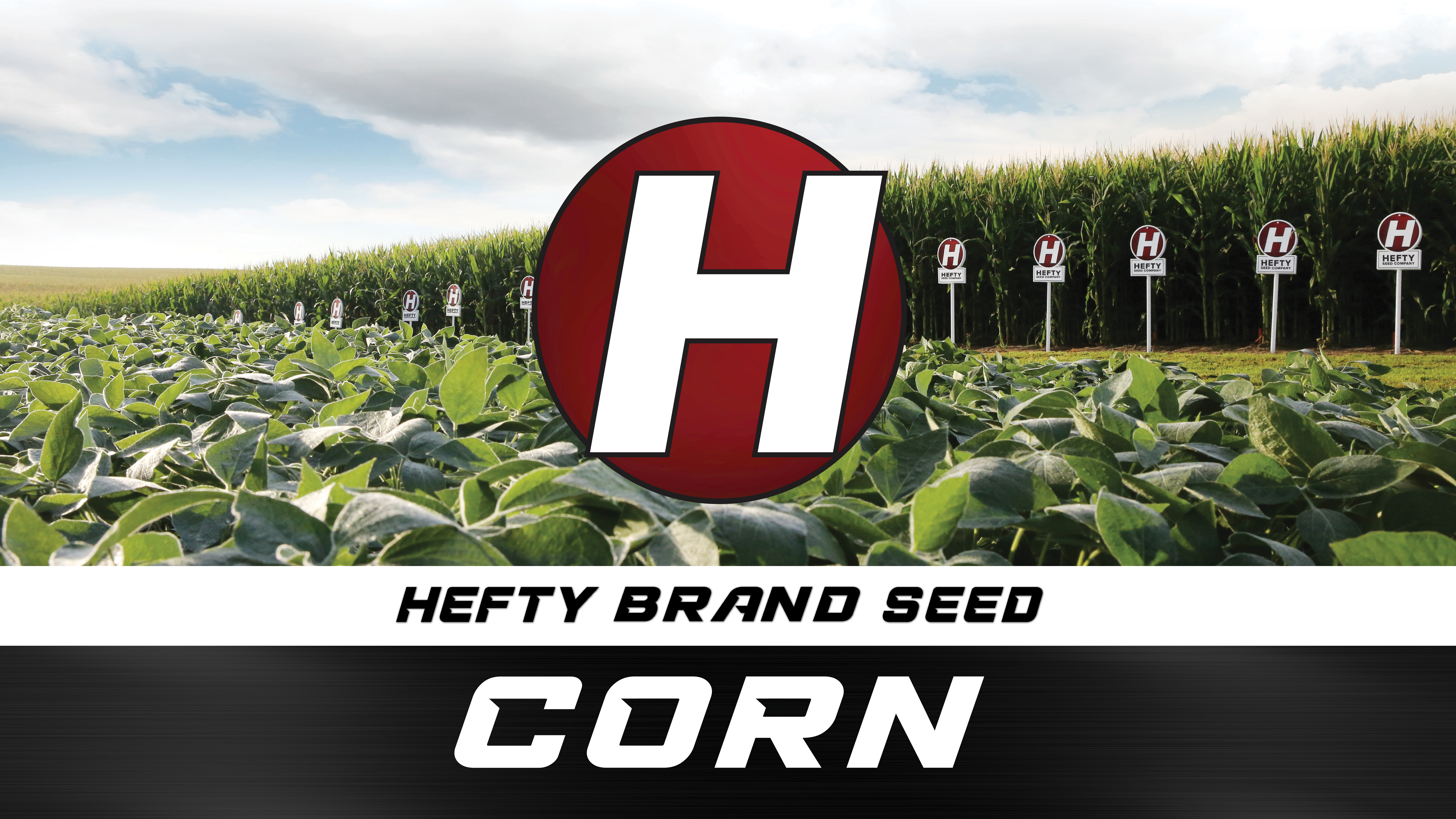 Hefty Seed Company - AcresTV