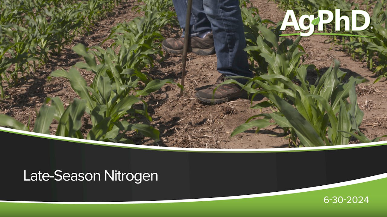 Late-Season Nitrogen | Ag PhD - 2024 - AcresTV