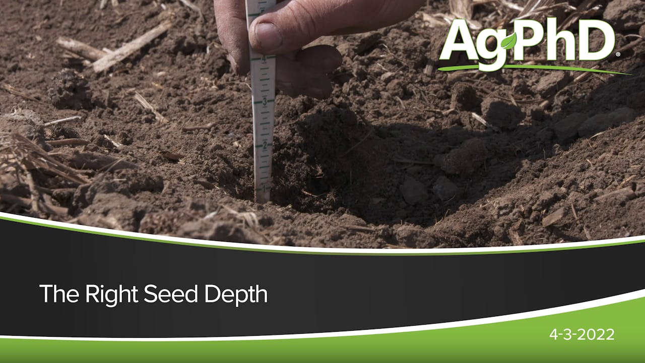 The Right Seed Depth | Ag PhD - 2022 - AcresTV
