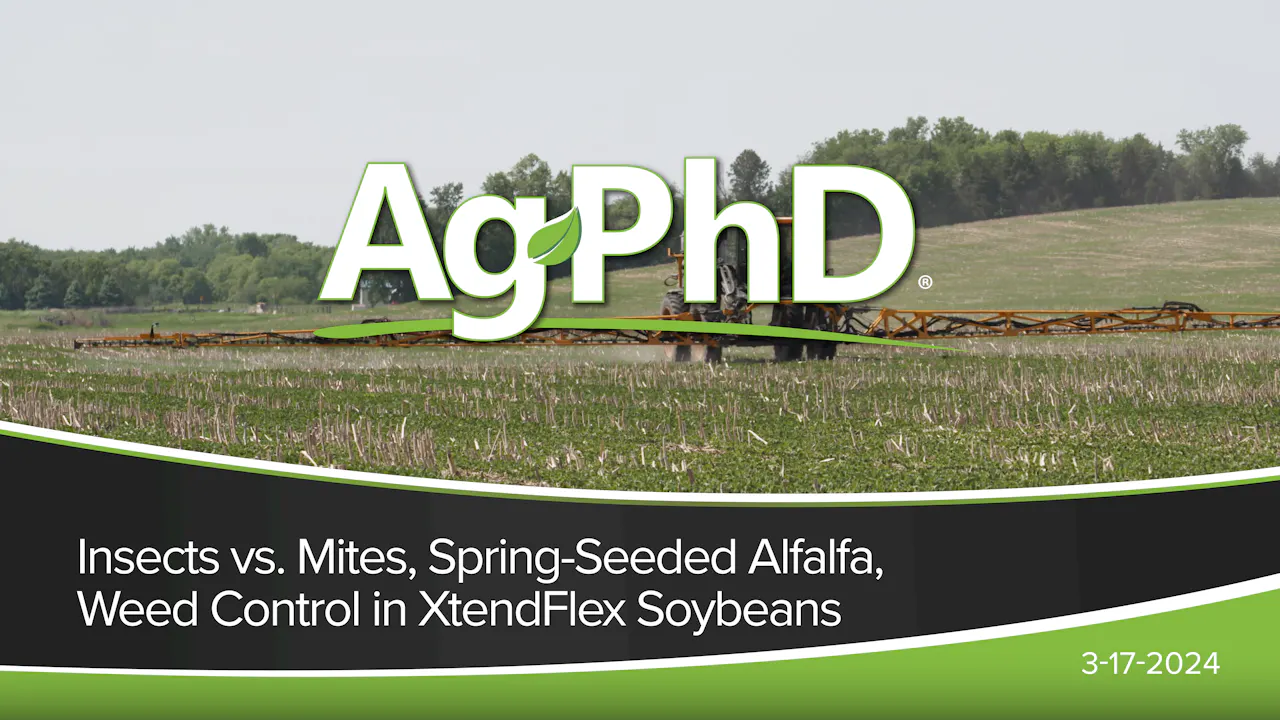 Insects vs. Mites, Spring-Seeded Alfalfa, Weed Control in XtendFlex ...