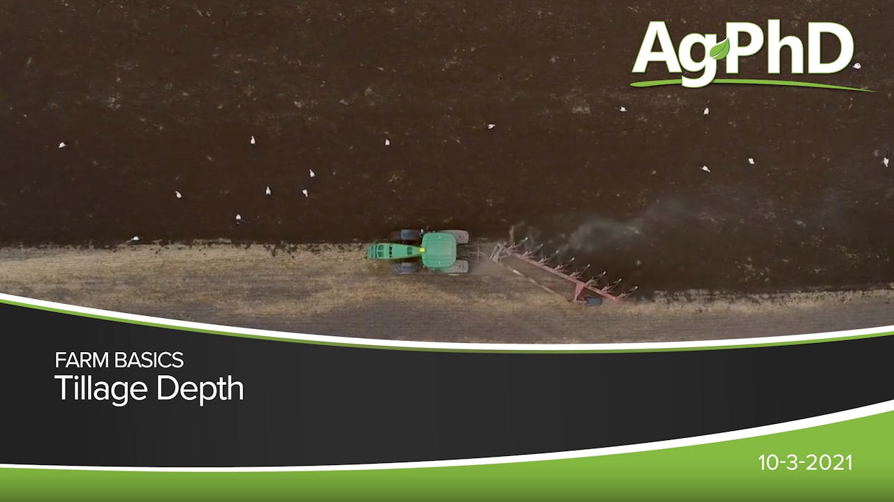 Tillage Depth | Ag PhD - 2021 - AcresTV