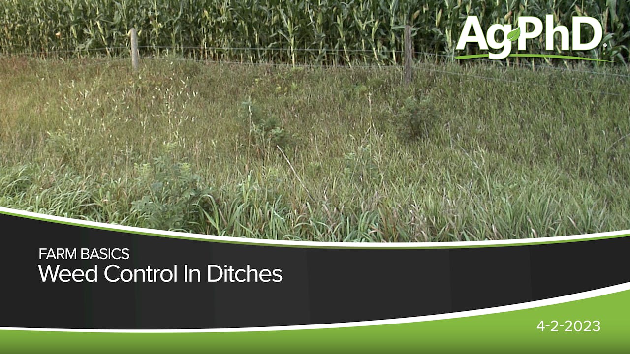 Weed Control In Ditches | Ag PhD - 2023 - AcresTV