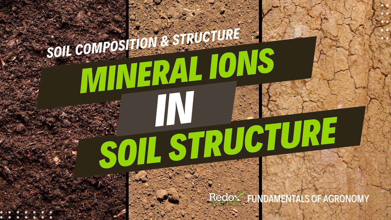 2.1 SOIL COMPOSITION & STRUCTURE - Video 2 - Mineral Ions ...