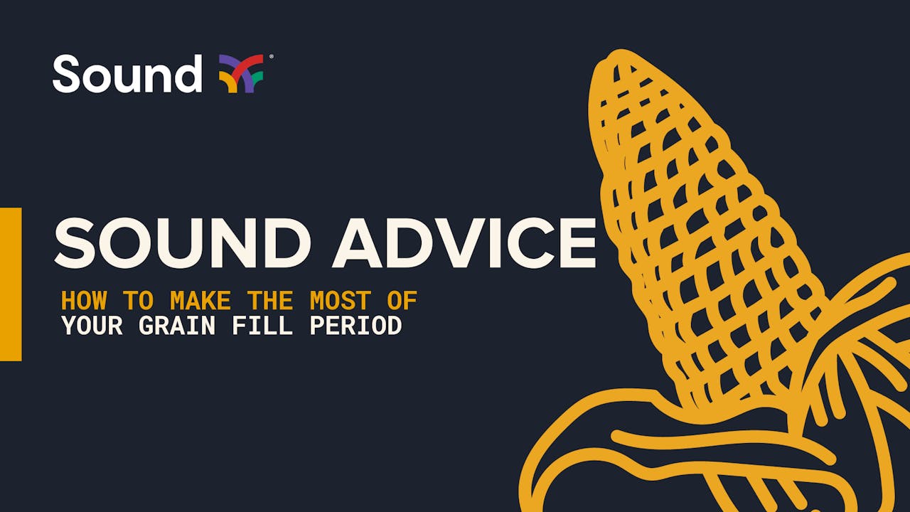 Grain Fill | Sound Ag - AcresTV