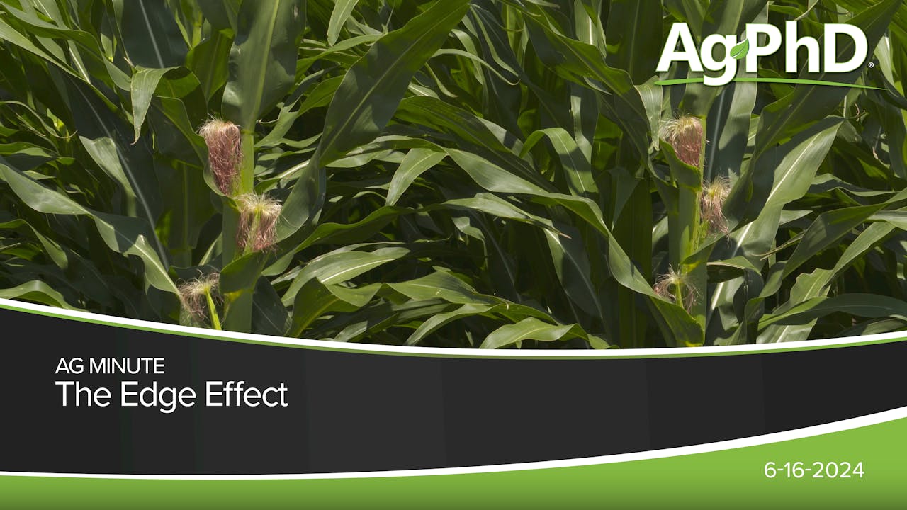The Edge Effect | Ag PhD - 2024 - AcresTV